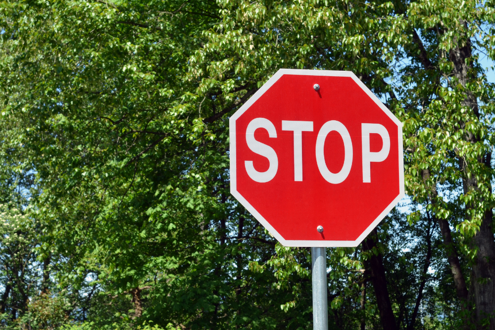 NZ Driving Rules: Essential Tips for Visitors | Drive Safely in Aotearoa